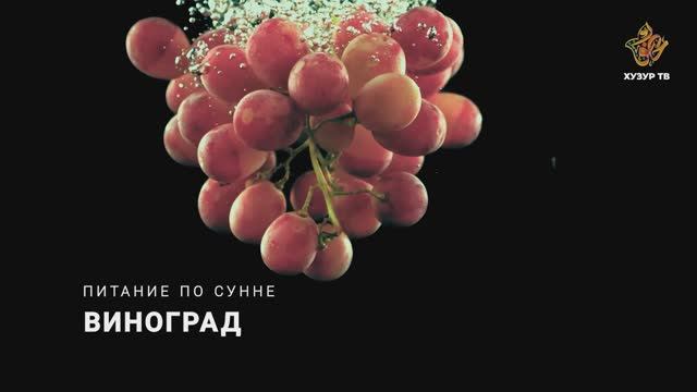 Виноград | Питание по сунне