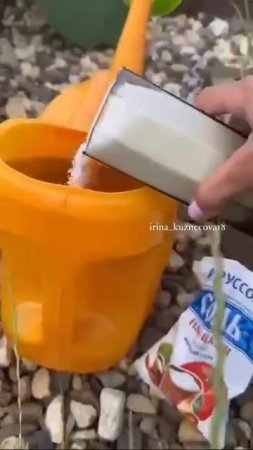 Чтобы лук не желтел. Самое интересное здесь https://t.me/turizm100