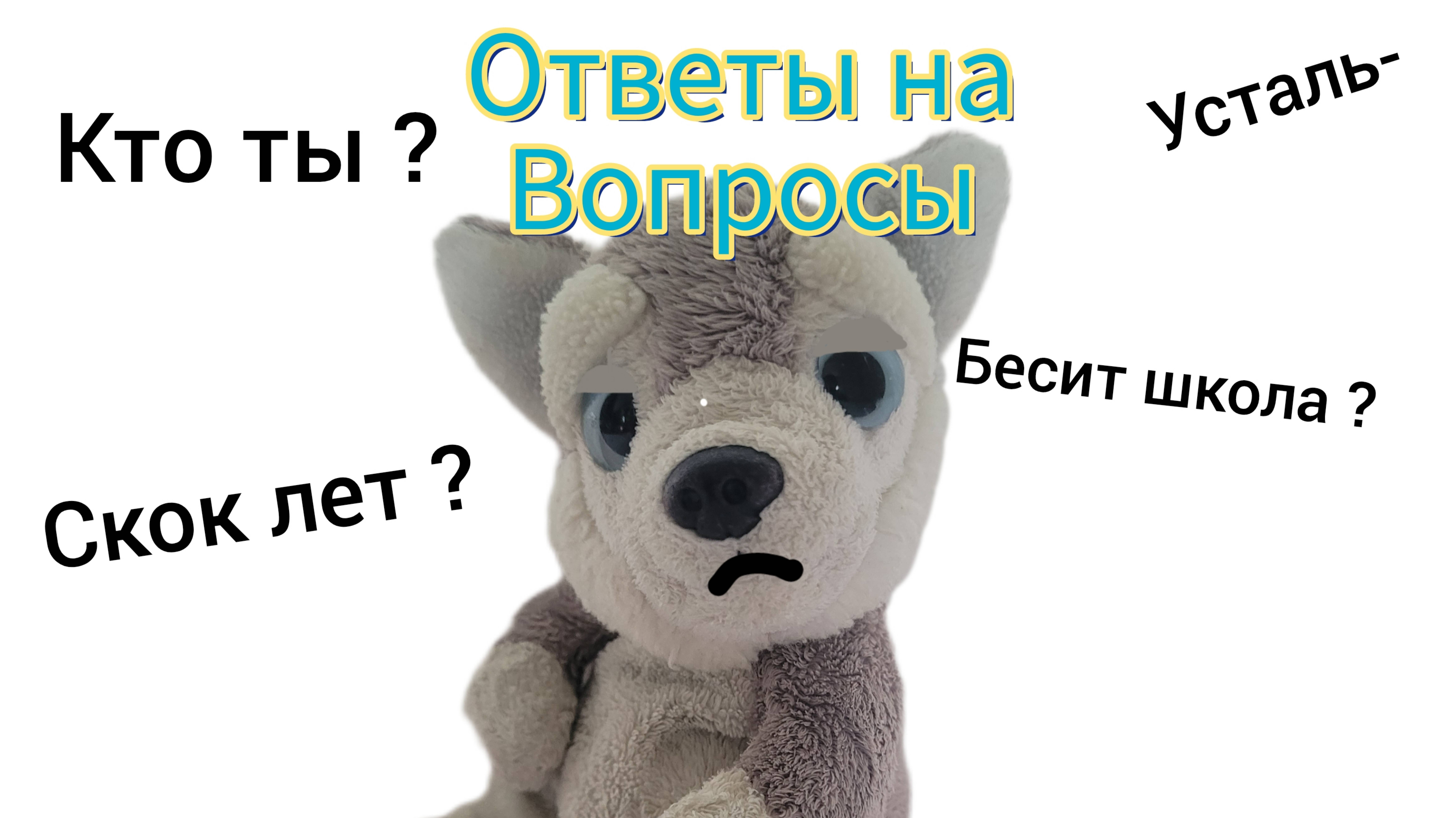0тветы на вопросы