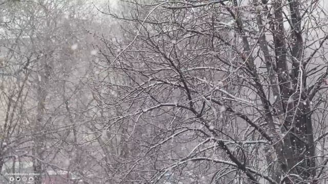 Волшебная музыка зимы. Падал снег! Одна из самых красивых,волшебных зимних мелодий! ЗИМА,СНЕГ.ЛЮБОВЬ