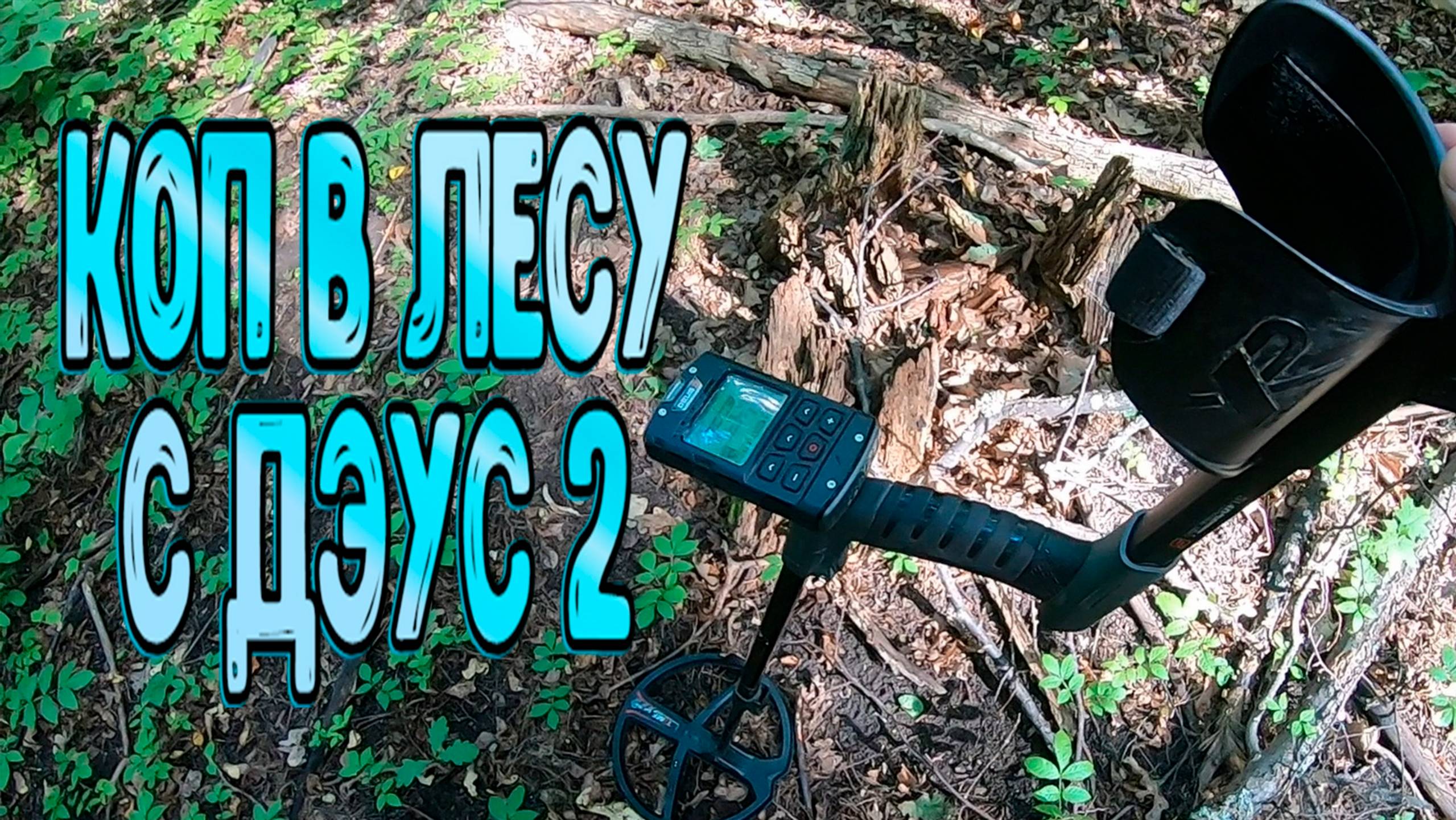 Коп в лесу по жаре с металлоискателем Дэус 2