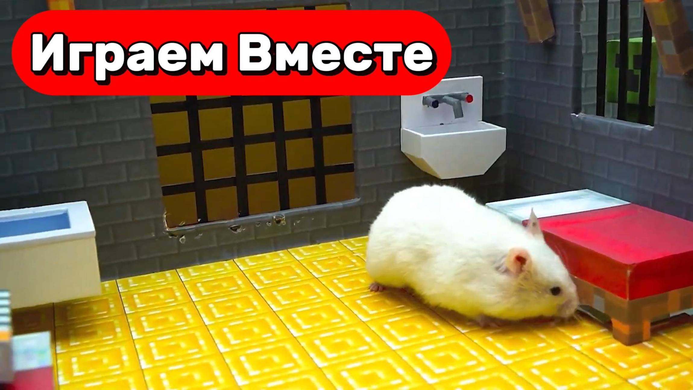 СЕКРЕТНАЯ ТЮРЬМА С ЛОВУШКАМИ ДЛЯ УМНОГО ХОМЯК 🐹🐹 ВИДЕО ДЛЯ ДЕТЕЙ