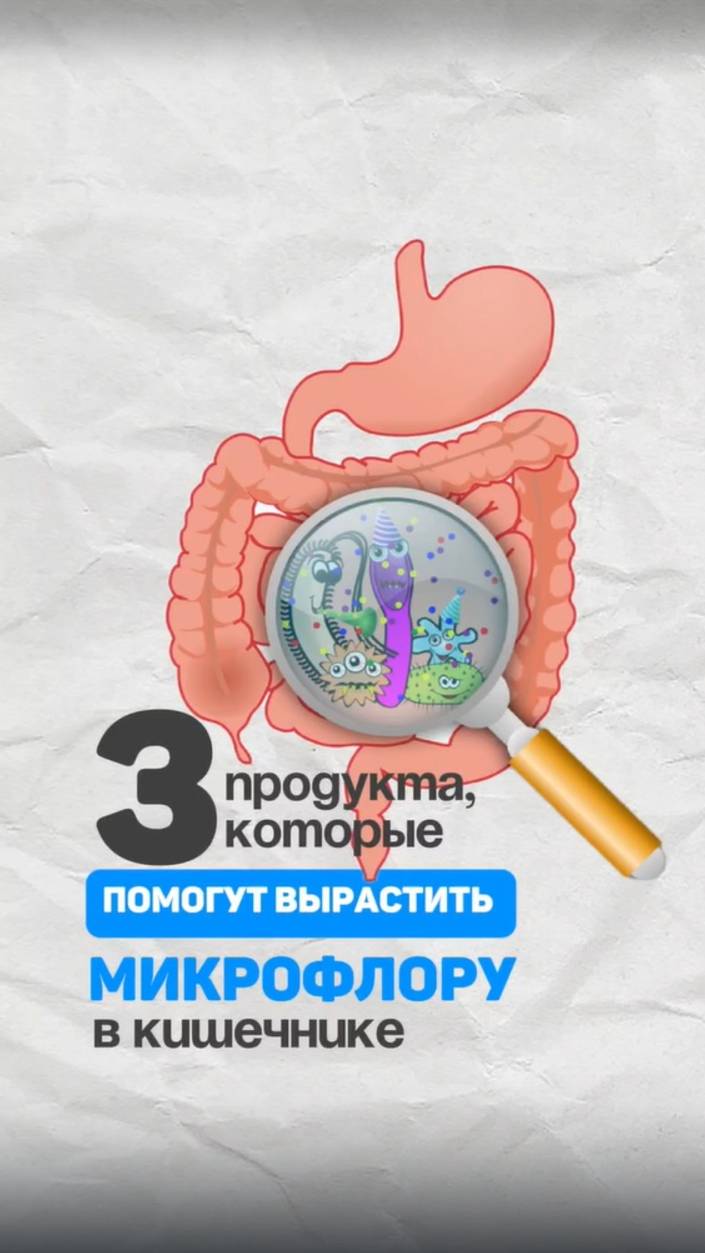 3 продукта, которые помогут вырастить микрофлору. Алена Братишко