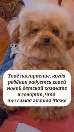 🥰Когда ребенок сияет от счастья и говорит: «Ты самая лучшая мама!» — это бесценно.