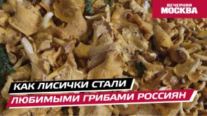 Как лисички стали любимыми грибами россиян? // Вечерняя Москва