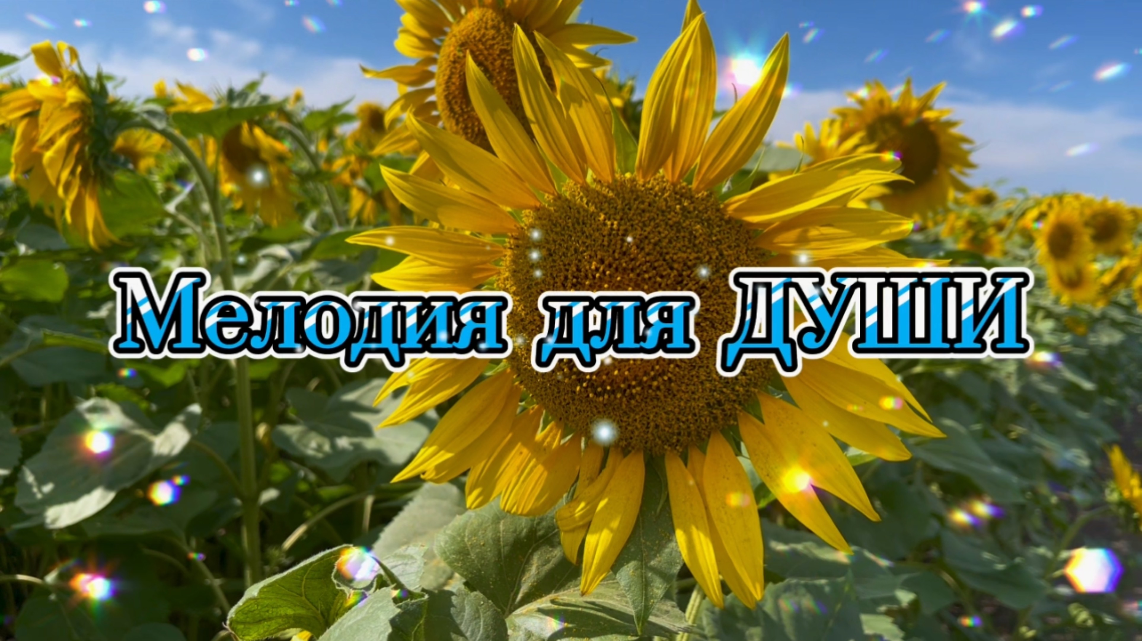 Мелодия для души, красивая инструментальная музыка