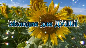 Мелодия для души, красивая инструментальная музыка