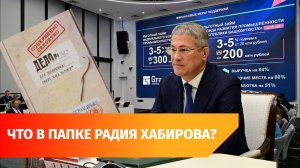 Радий Хабиров возмутился местами для садоводов и пригрозил чиновникам папкой