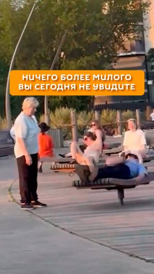Ничего более милого вы сегодня не увидите