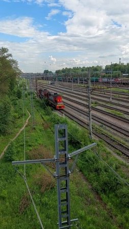 Вид с моста Александровской Фермы