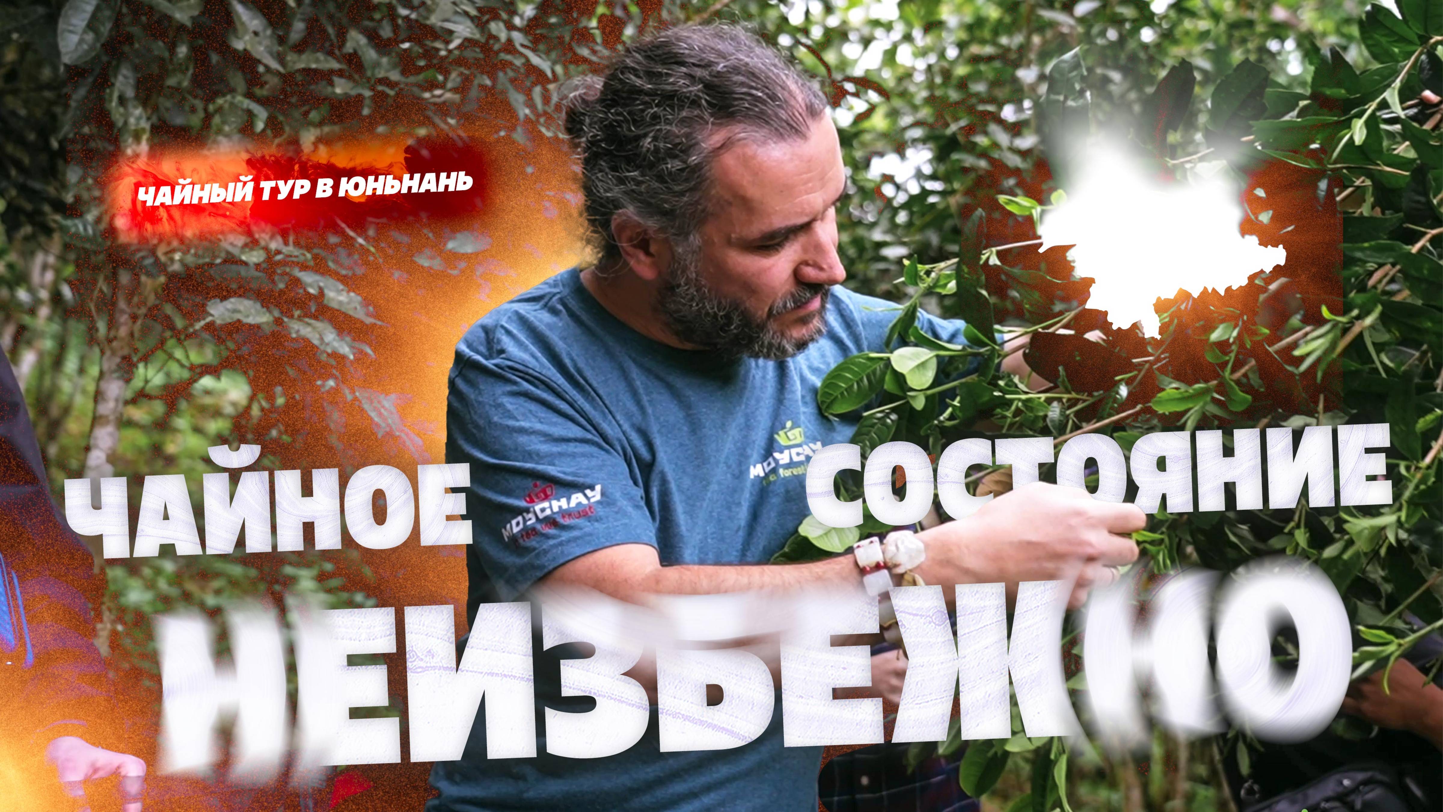 Чайный тур в Юньнань - чайное состояние неизбежно.