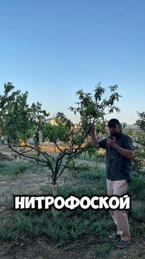 Подкормка для роста и корней - сколько добавлять чтобы не навредить