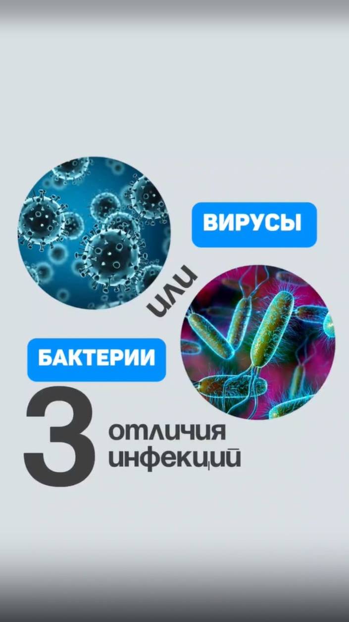 3 отличия вирусной и бактериальной инфекций. Алена Братишко
