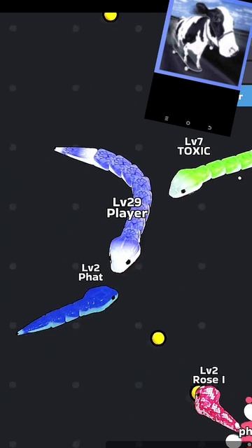 играю в блок головоломка 4