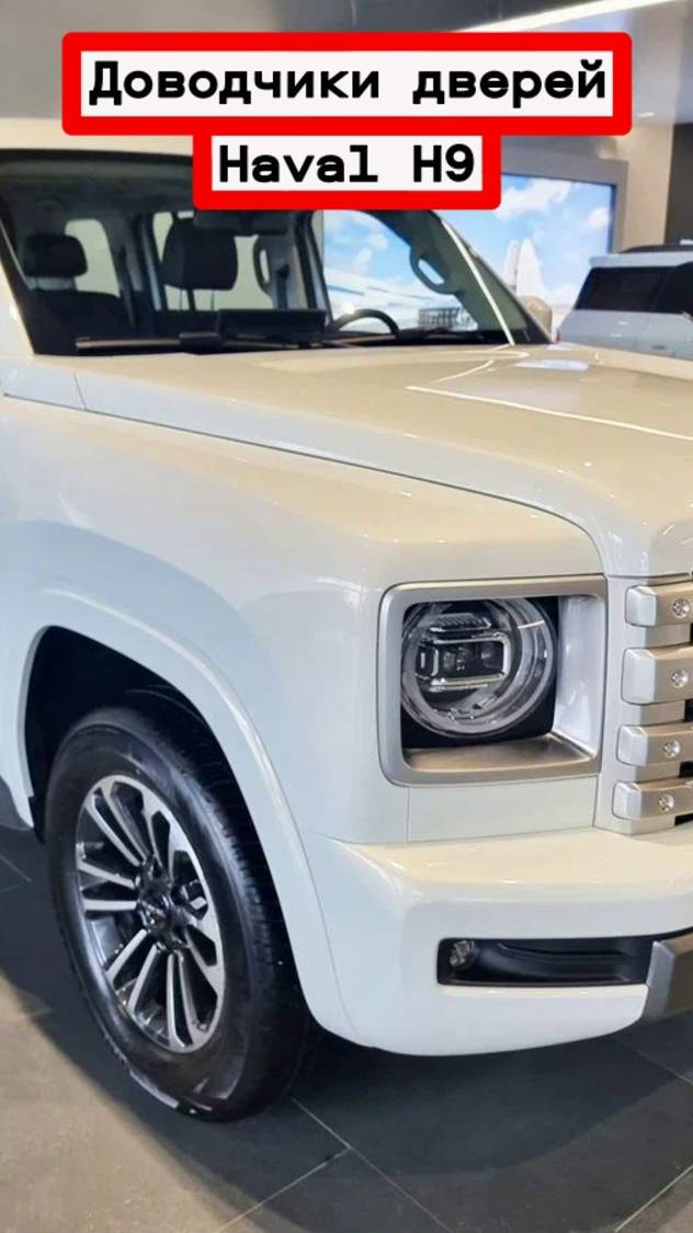 Доводчики автомобильных дверей Haval H9