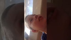 стройка шалоша