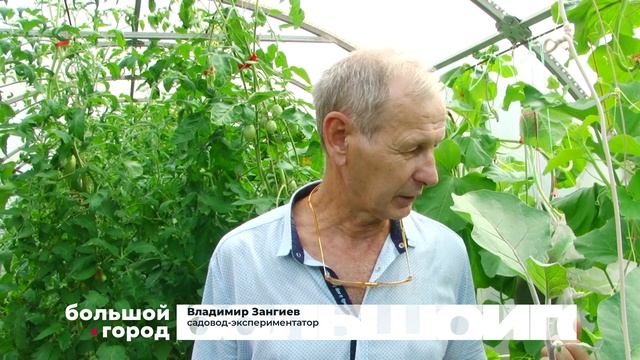 ЭКЗОТИЧЕСКИЙ УЧАСТОК. Большой город 28/07/2025