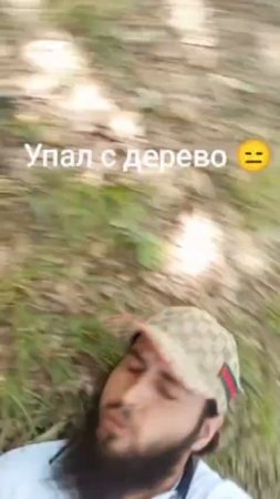 Упал с дерева