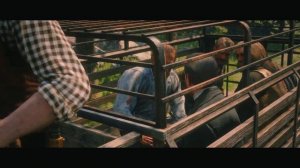 Red Dead Redemption 2. Прохождение. Части 11-15.