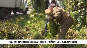 Санитарная пятница после тайфуна в Хабаровске