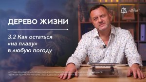 Тема: ДЕРЕВО ЖИЗНИ
3.2. Как остаться «на плаву» в любую погоду