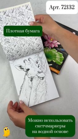 Серия «Раскраска для скетчмаркеров»