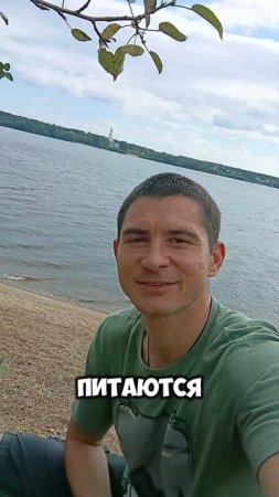 Выкидывать хлеб это грех?