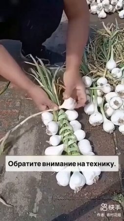 Классный способ хранения чеснока. Самое интересное здесь https://t.me/turizm100