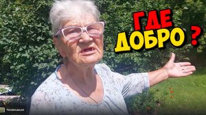 ПОКАЗ ОГОРОДА И СБОР УРОЖАЯ В МАШИНУ К БЛОГЕРУ