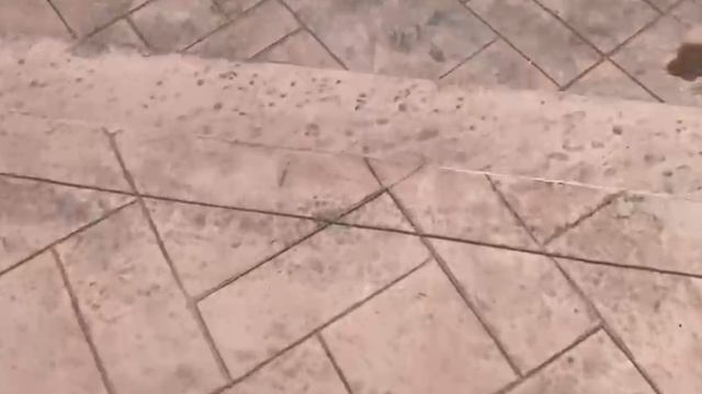 ВИДЕО 2 ! Влог от Илюхи НА АЛТАЕ ! ТРЕШ