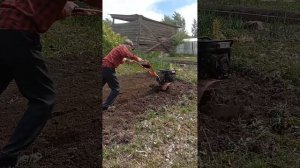 о Иоаким фрезерует землю мотоблоком у себя на огороде  23 05 2025