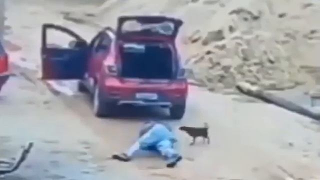 Кто кого