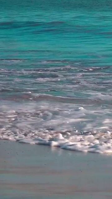 Звуки Моря | Расслабляющие Морские Волны | 🐬🌊🐬