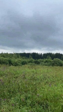 Продается земельный участок 20 соток в деревне Арсаки, Александровский район