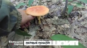 ПЕРВЫЕ ПОШЛИ!. Большой город 29/07/2025