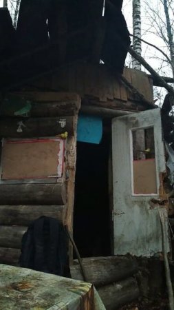 Бичева январская.