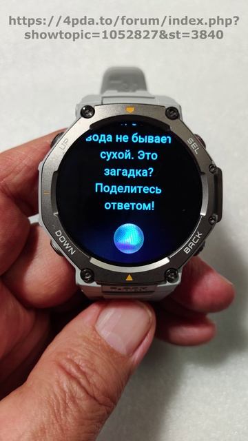 Как Zepp Flow научить русскому языку ⌚