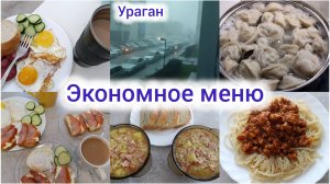 Экономное меню. Чем кормлю свою семью: 🍲🍳🍴🍕🍔🍟. Ураган 🌀.