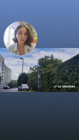 Услуги стижки живой изгороди из туй в Москве и МО т. 8 495 669 52 23 oz-group.ru