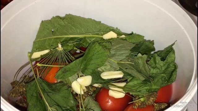 Квашеные помидоры как бочковые - лучший рецепт заготовки на зиму.