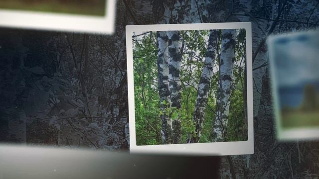 Музыкальный клип "Родные просторы"