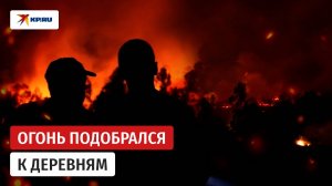 Лесные пожары в Португалии пожарные тушат круглосуточно