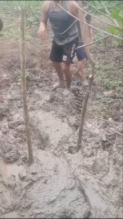 Решил тоже попробовать