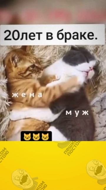 умру от смеха