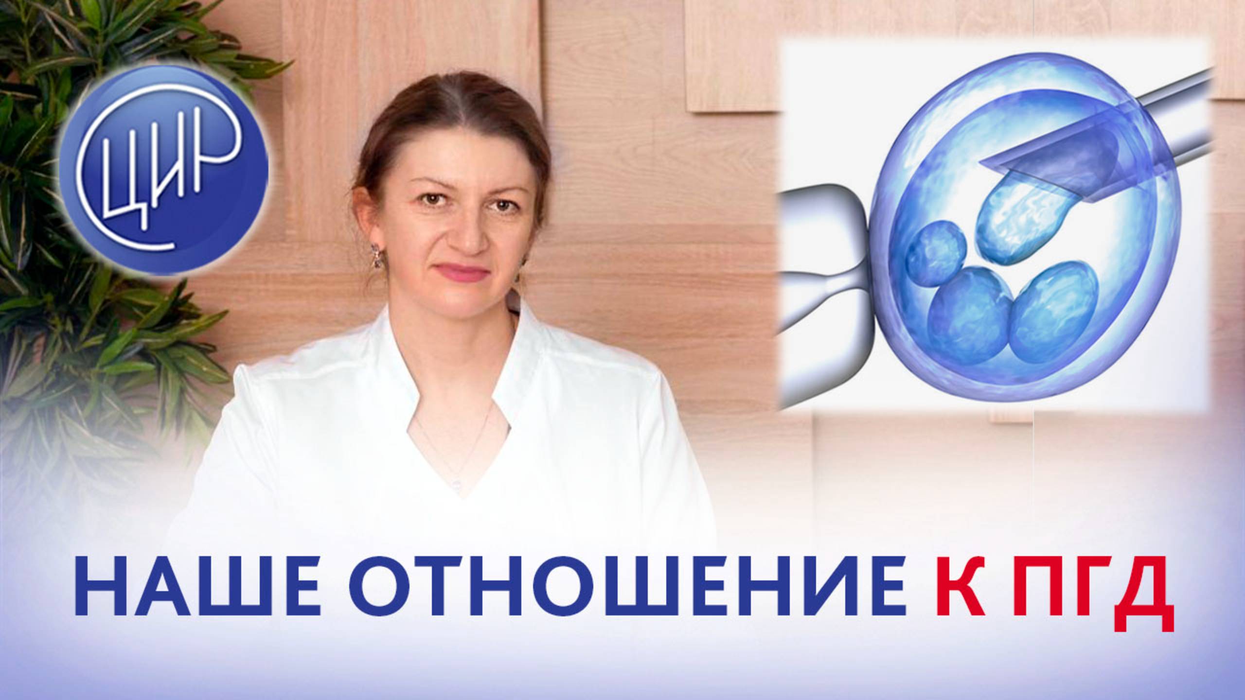 ПГД - предимплантационная диагностика. Наше отношение к пердимплантационной диагностике.