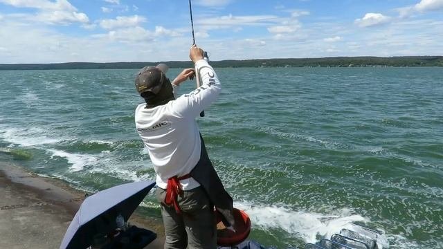 Чемпионат Воронежской области по фидеру 2019
