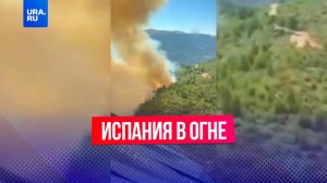 Испания в огне: масштабный пожар в Авиле унес жизнь пожарного