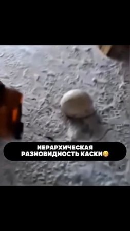 Разновидность строительных касок.   Ремонт окон. Москва, Подольск, Чехов.