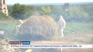 Сегодня в 19.00 в программе "Кстати": Впервые за много лет зафиксирована вспышка сибирской язвы