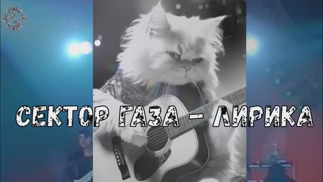 Сектор Газа - Лирика